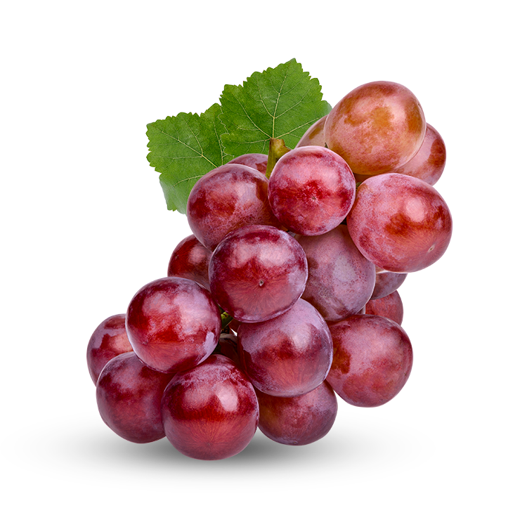 DeliColor | Delix · DeliColor y DeliSabor